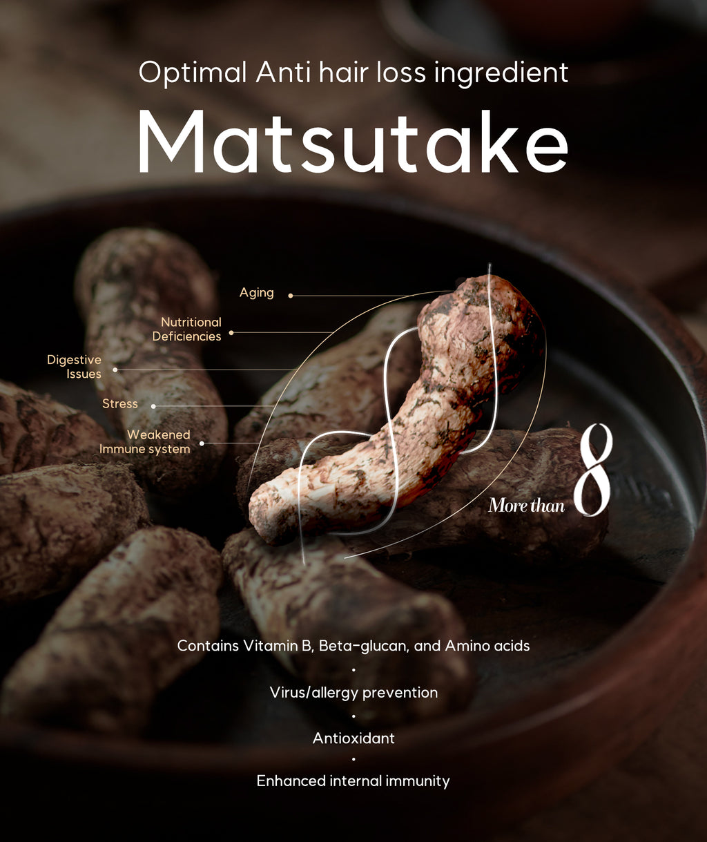Advanced Approach Of Using Matsutake Stem Cell Extract To Prevent Hair ...